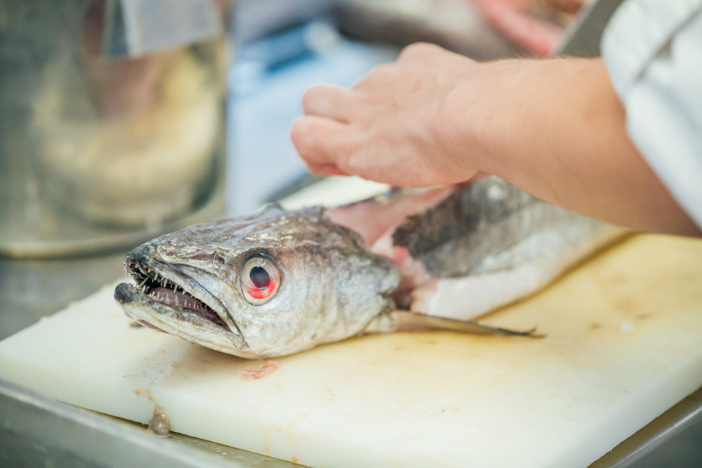 Lycée Hôtelier Yvon Bourges - Dinard - Info'sup Bretagne Sud