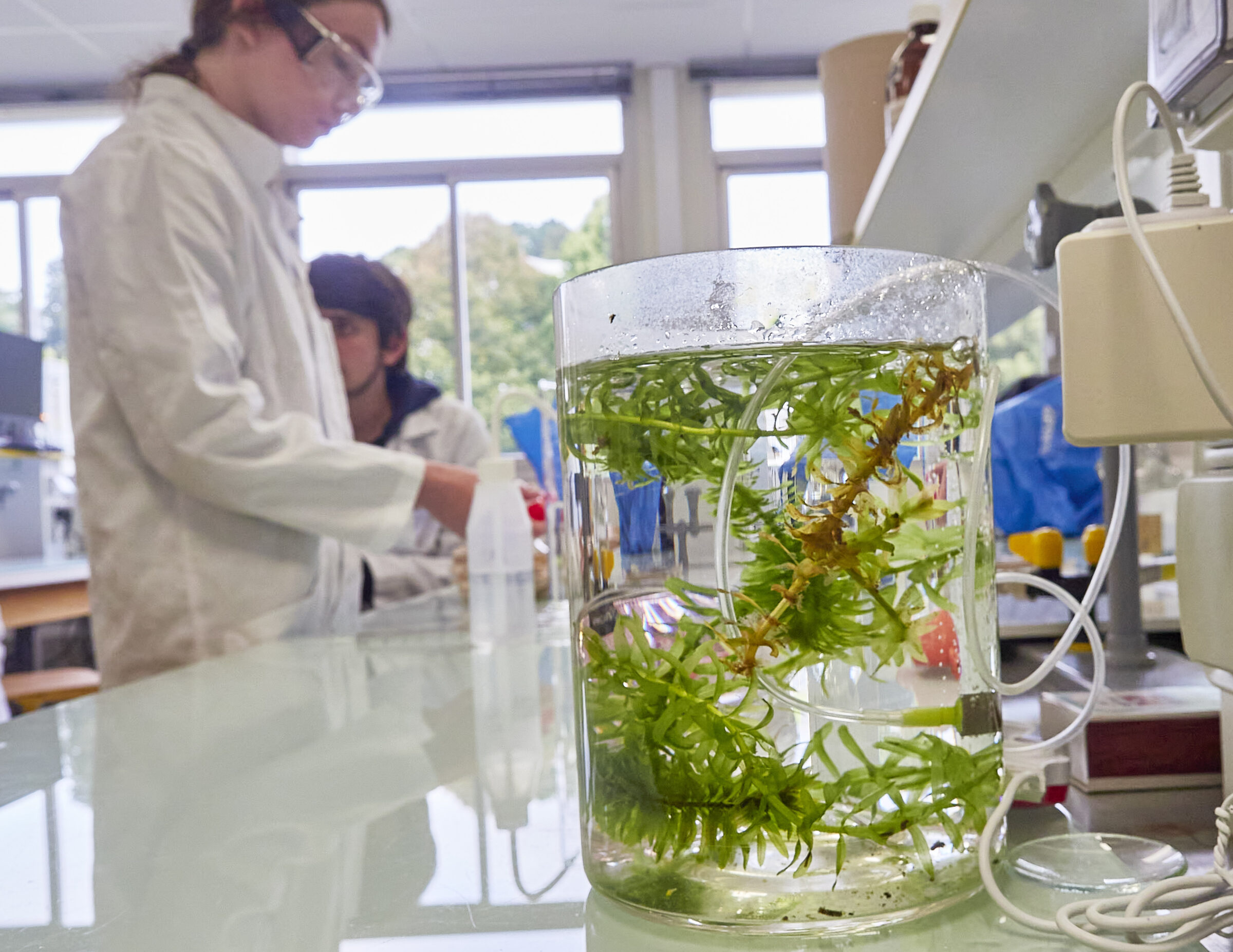 IUT - Quimper - Info'sup Bretagne Sud