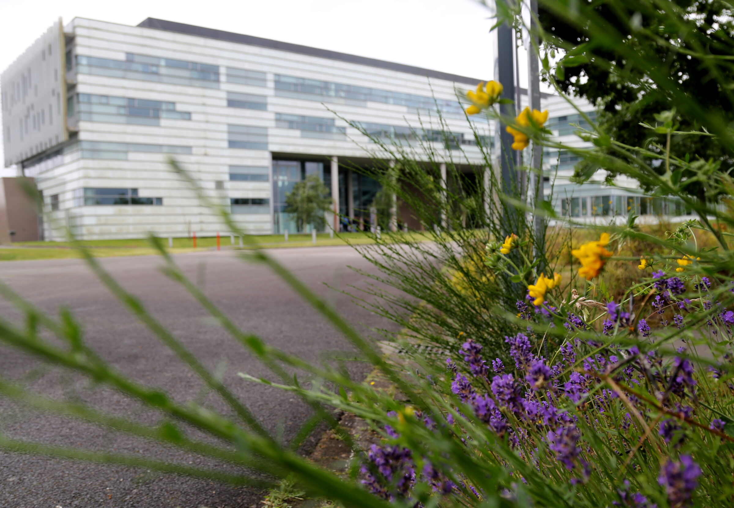 IFPS - Institut de formation des professionnels de santé de Vannes - Info'sup Bretagne Sud
